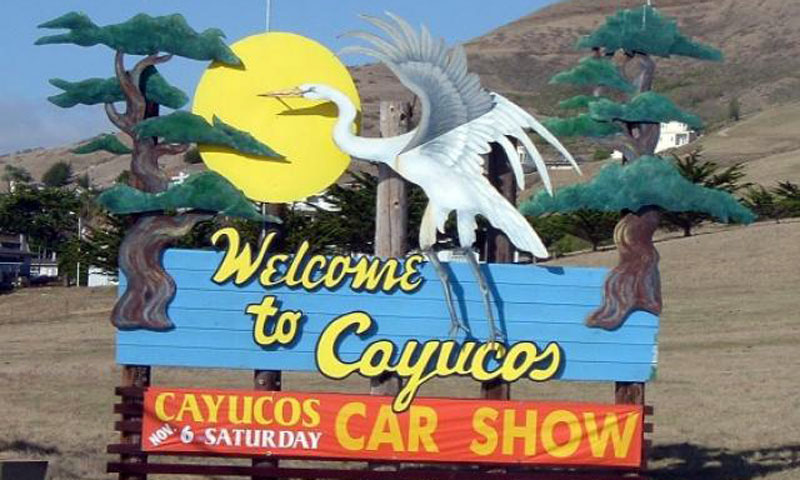 Design | Project Types | Rootamental